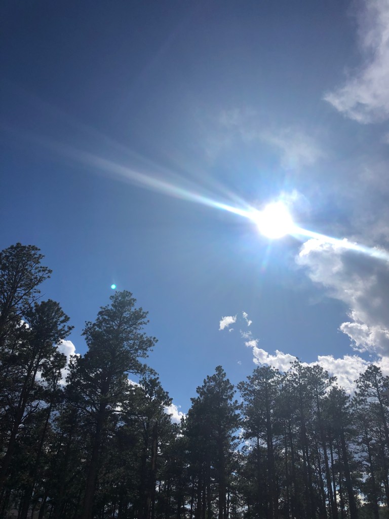 Let The Sun Shine In! – Karen Lockhart